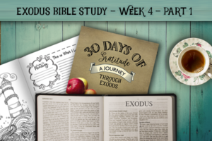 Exodus Bible Study – Week 4 – Part 1 - Time-Warp Wife
