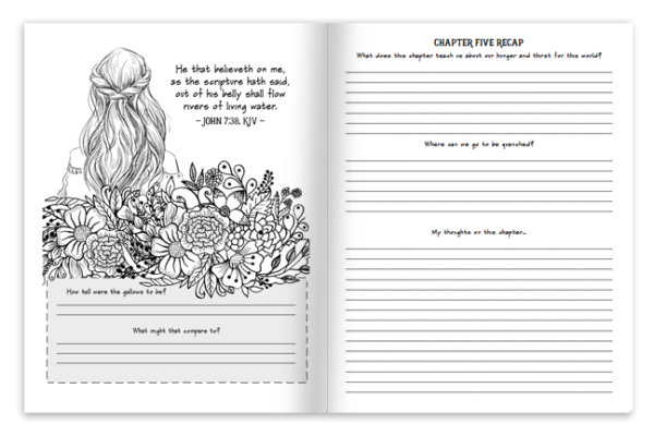 Esther Bible Study - FREE Bible Study Guide and Introduction - Time ...