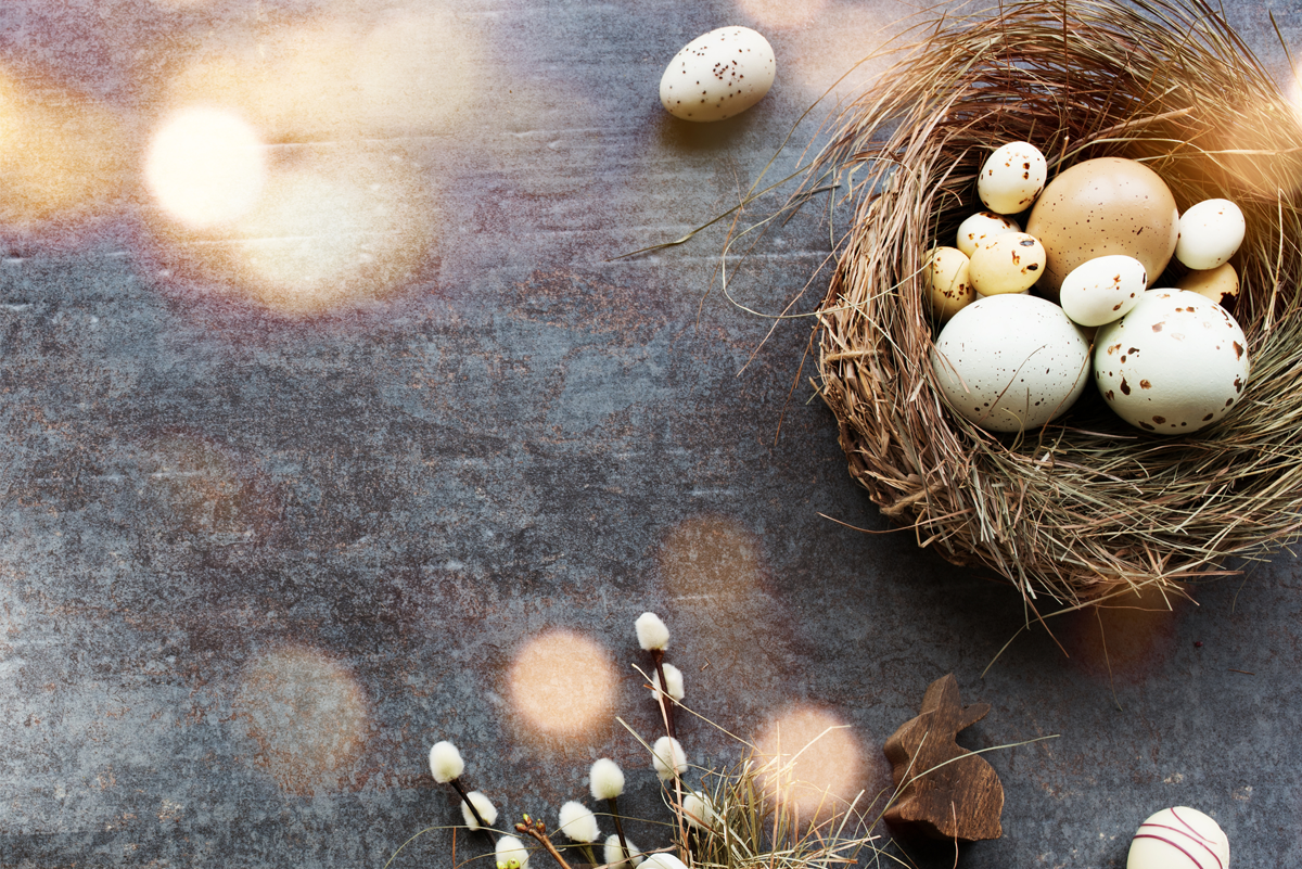 FREE Bible Study – The Life of Joseph: A Type of Christ – Week 3 - Time ...