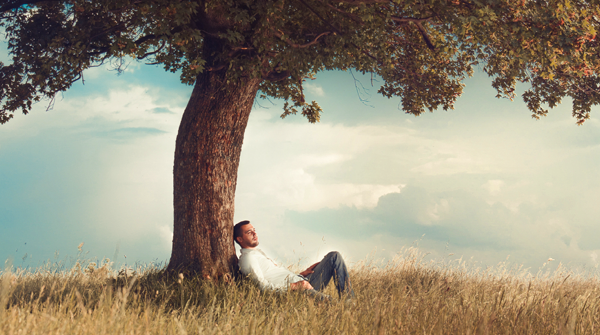 tree - Time-Warp Wife